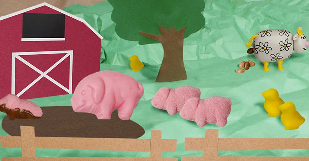 Animals Candy | Animal Candies | Candy Warehouse