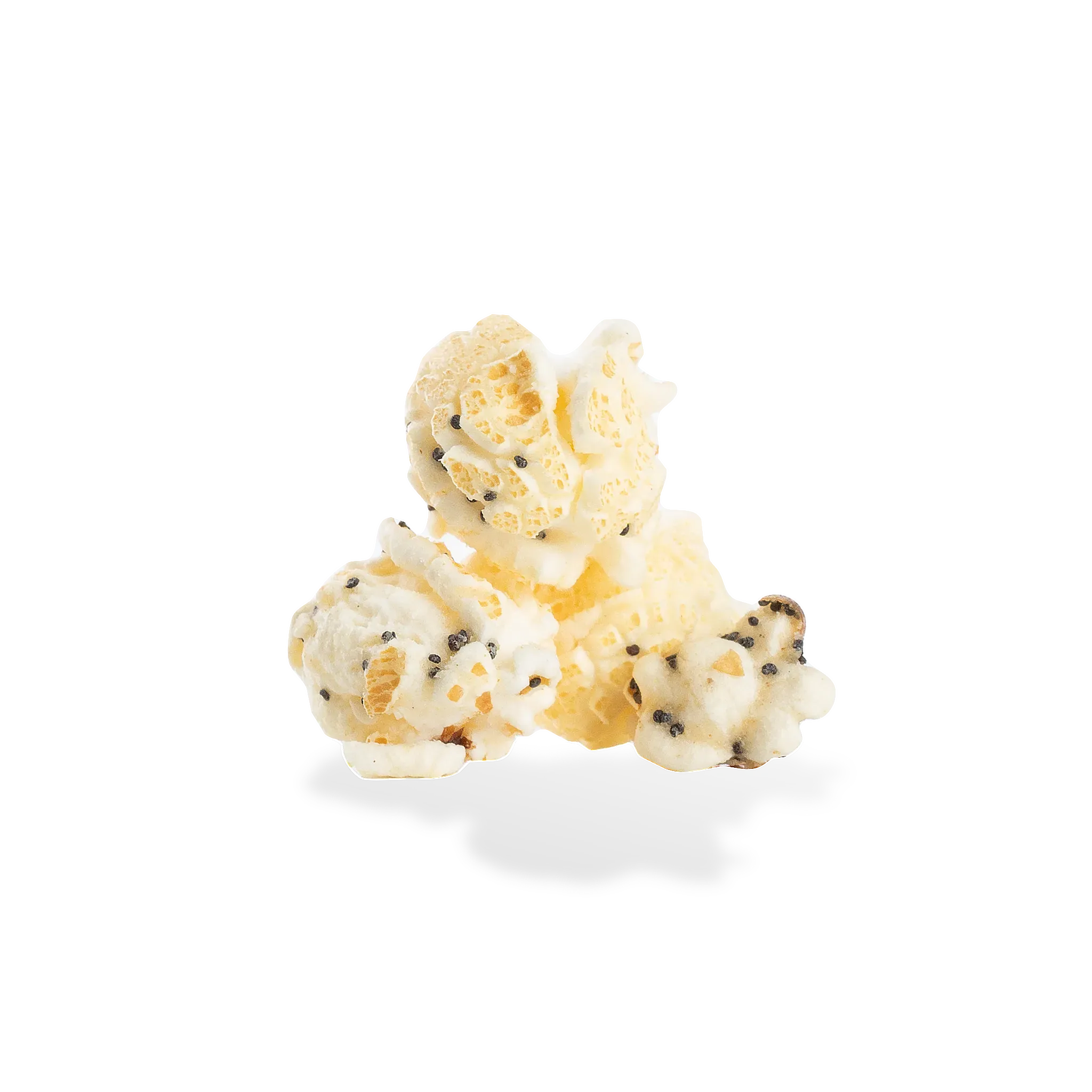 City Pop Everything Bagel Popcorn – Candy Warehouse