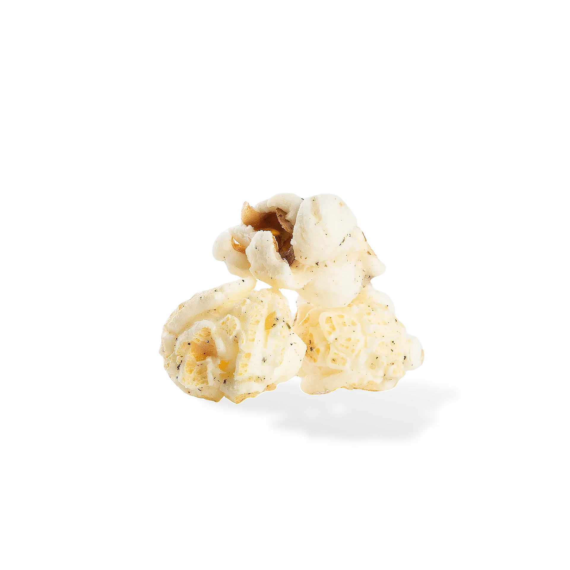 City Pop Sea Salt & Cracked Pepper Popcorn – Candy Warehouse