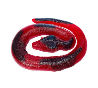 Gummy Snakes | Candy Warehouse