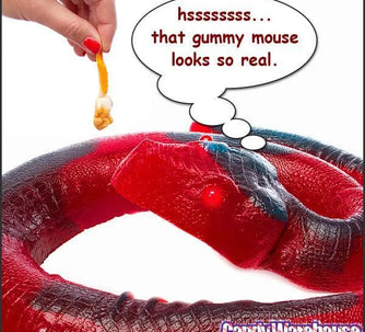 Gummy Snakes | Candy Warehouse