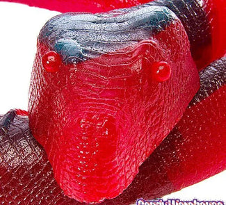 Gummy Snakes | Candy Warehouse