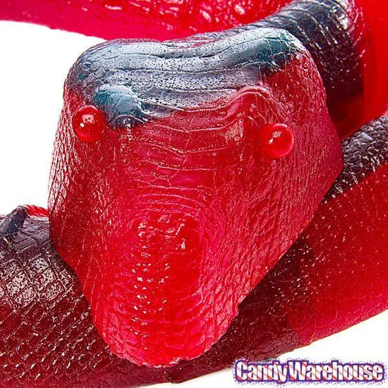 26-Pound Party Gummy Python | Candy Warehouse