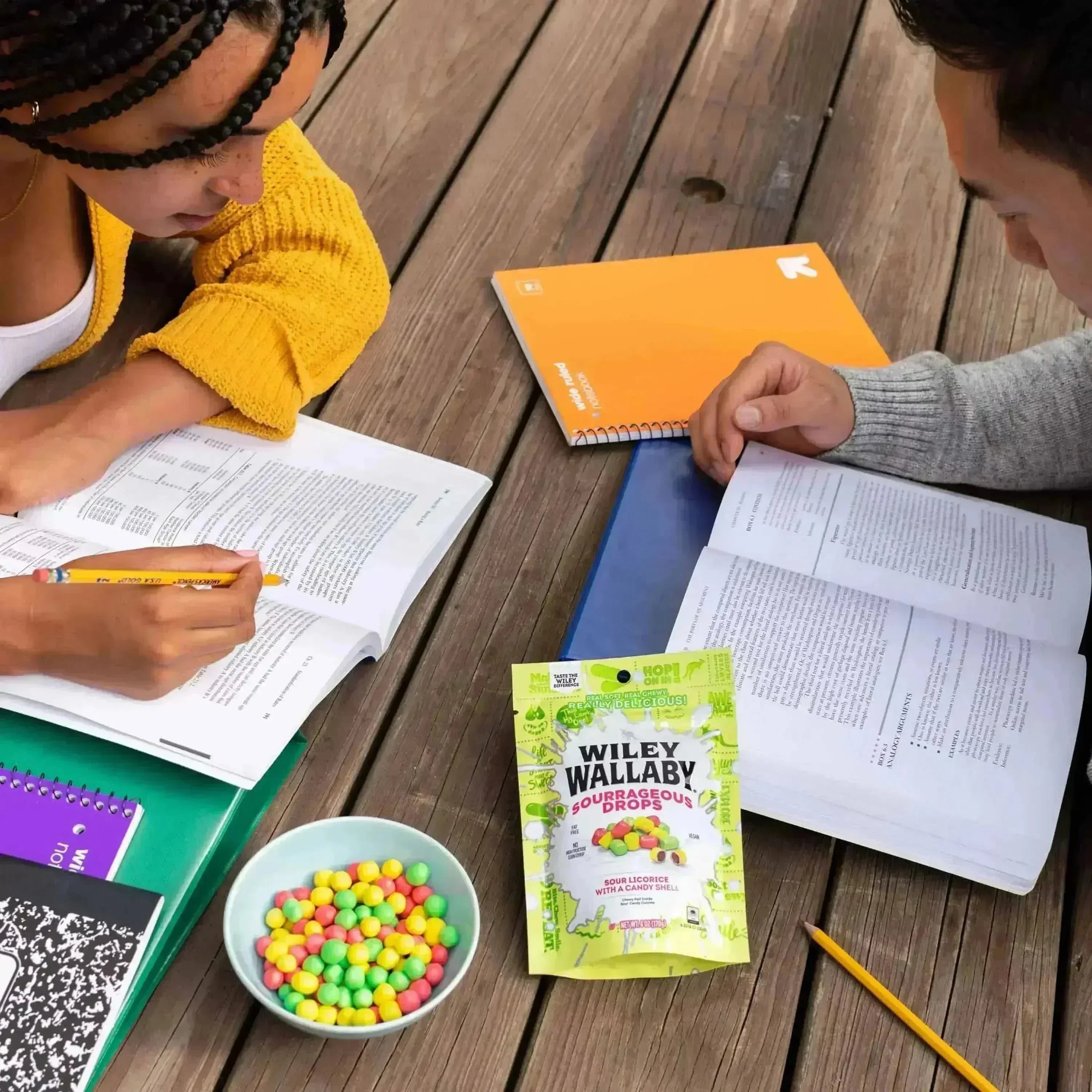 Wiley Wallaby Sourrageous Licorice Bites Peg Bags: 12-Piece Box – Candy ...