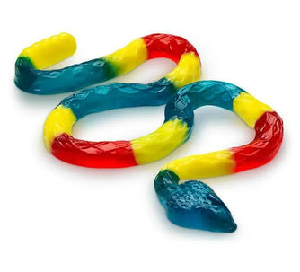 Gummy Snakes | Candy Warehouse