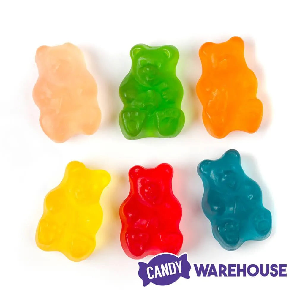 Albanese Gourmet 12-Flavors Gummy Bears: 5LB Bag | Candy Warehouse