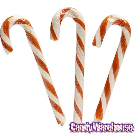Archie McPhee Gravy Candy Canes: 6-Piece Box | Candy Warehouse