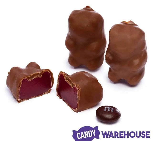 Chocolates | Candy Warehouse