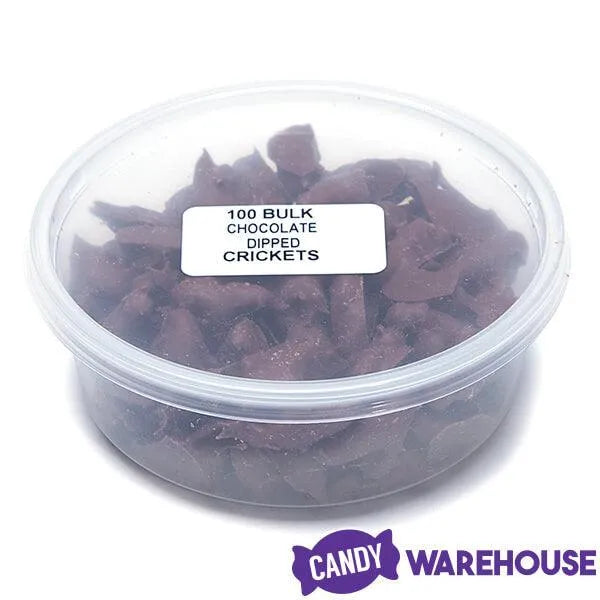 Chocolate Covered Crickets: 100-Piece Tub – Candy Warehouse