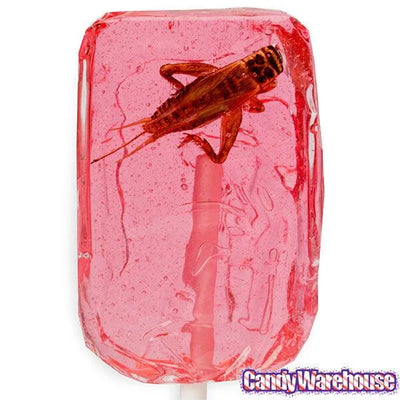 Cricket Lollipops: 36-Piece Box – Candy Warehouse