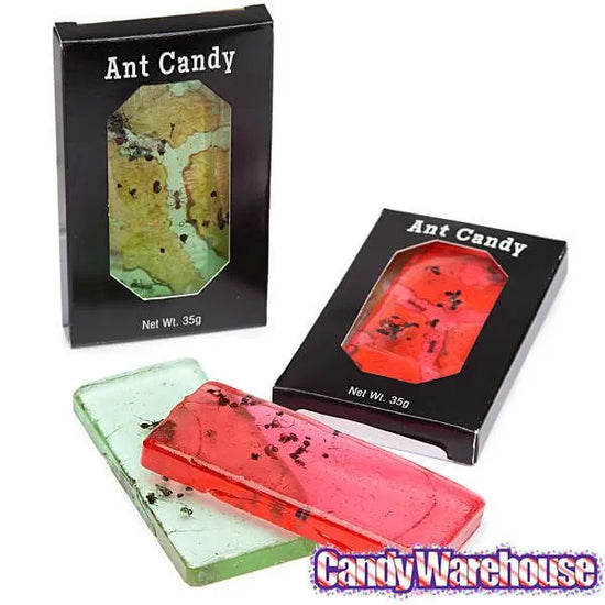 Edible Ant Farm Candy Packs: 24-Piece Box | Candy Warehouse