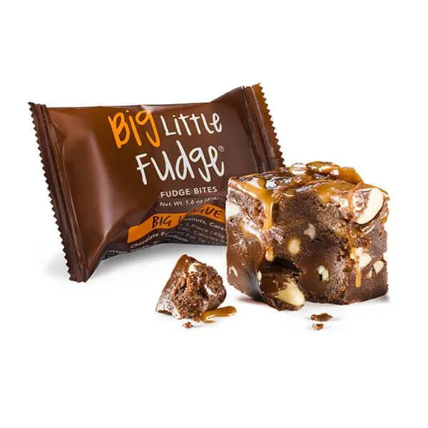 Fudge Bites - Chocolate with Peanuts and Caramel: 12-Piece Display ...