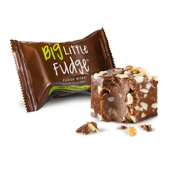 Fudge Bites - Chocolate with Walnuts: 12-Piece Display – Candy Warehouse