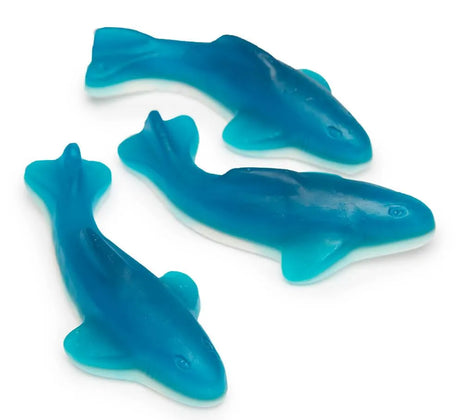 Gummy Sharks | Candy Warehouse