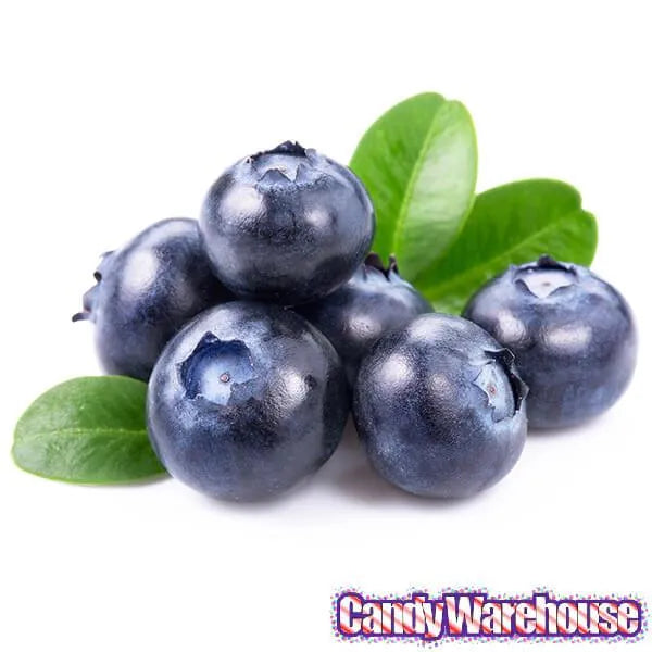 Jelly Belly Blueberry: 10LB Case – Candy Warehouse
