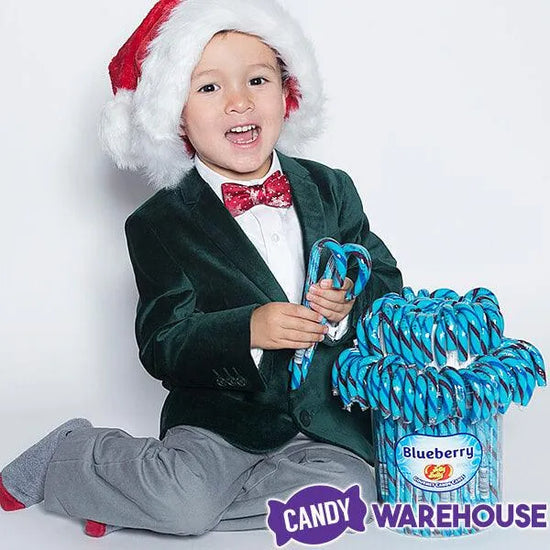 Jelly Belly Candy Canes - Blueberry: 80-Piece Bucket | Candy Warehouse