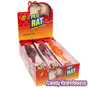 Jelly Belly Pet Rats Gummy Packs: 12-Piece Box – Candy Warehouse