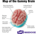 Jelly Candy | Candy Warehouse