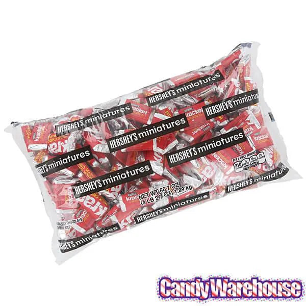 Krackel Miniatures Candy Bars: 4LB Bag – Candy Warehouse