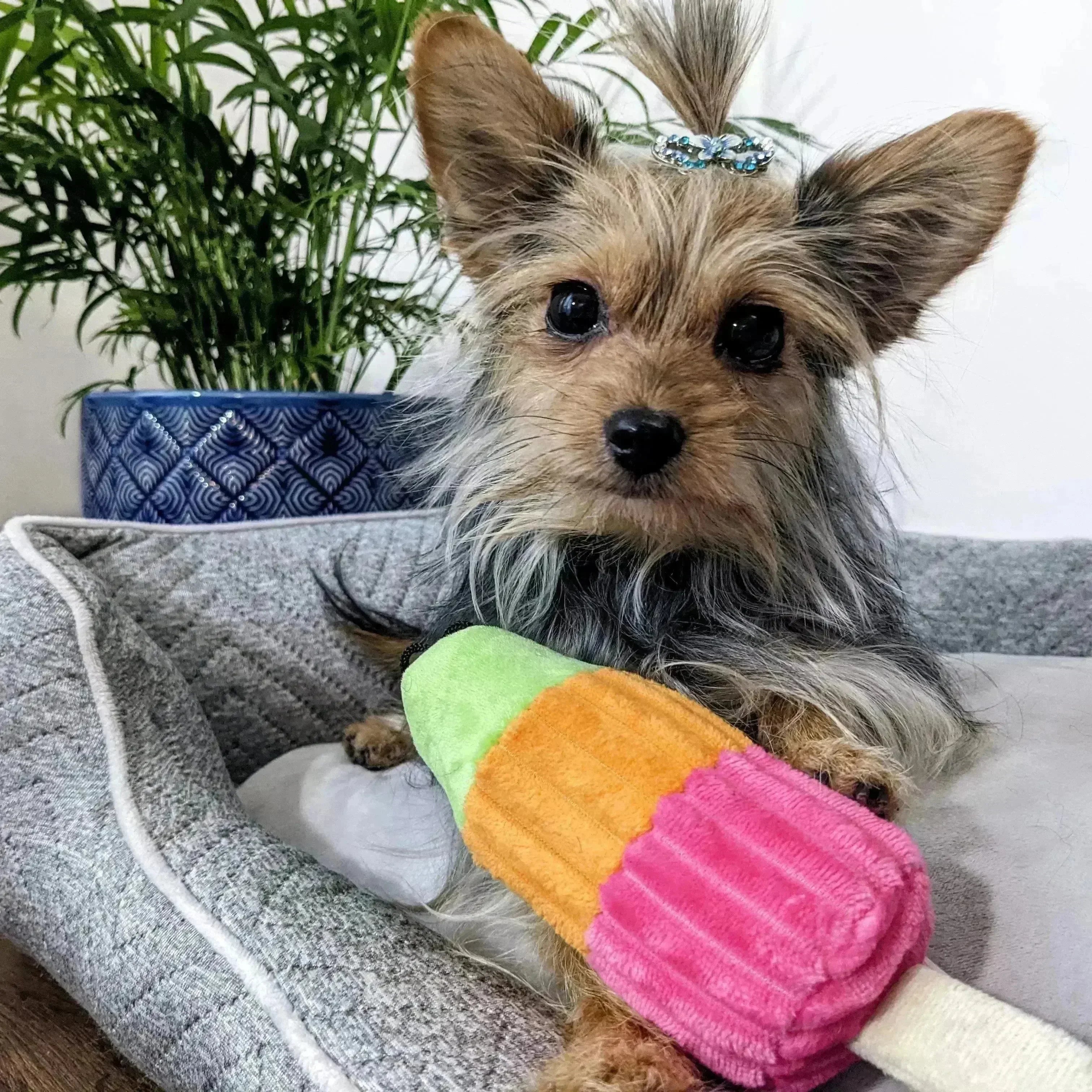 Lulubelle's Power Sherbert Pop – Candy Warehouse