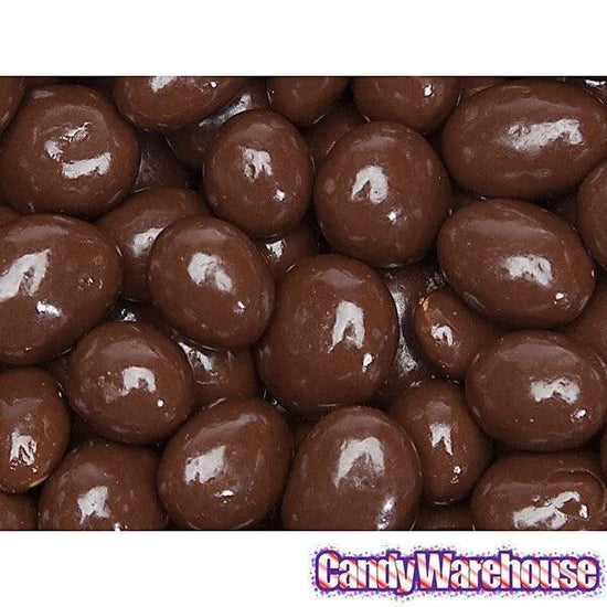 Milk Chocolate Covered Peanuts Candy: 5LB Bag | Candy Warehouse