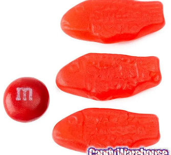 Ocean | Candy Warehouse