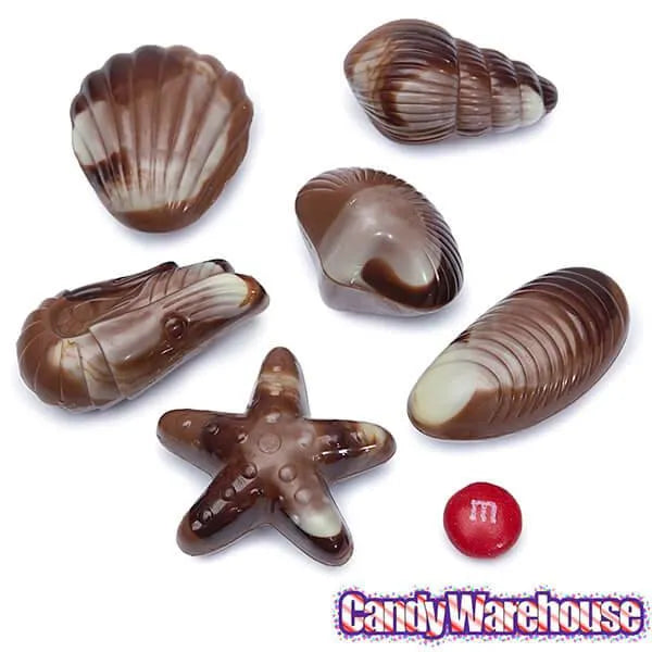 Seashell Shaped Candies | Candy Warehouse – Candy Warehouse