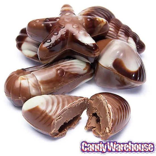Nautilus Belgian Chocolate Seashells: 18-Piece Box | Candy Warehouse
