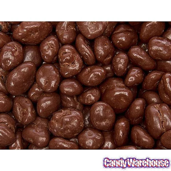 Raisinets Milk Chocolate Raisins Candy: 36-Ounce Bag | Candy Warehouse
