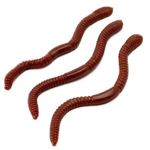 Realistic Gummy Earthworms Candy: 30-Piece Bag | Candy Warehouse