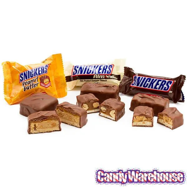 Snickers Fun Size | Candy Warehouse – Candy Warehouse