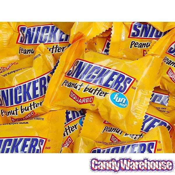 Snickers Fun Size | Candy Warehouse – Candy Warehouse