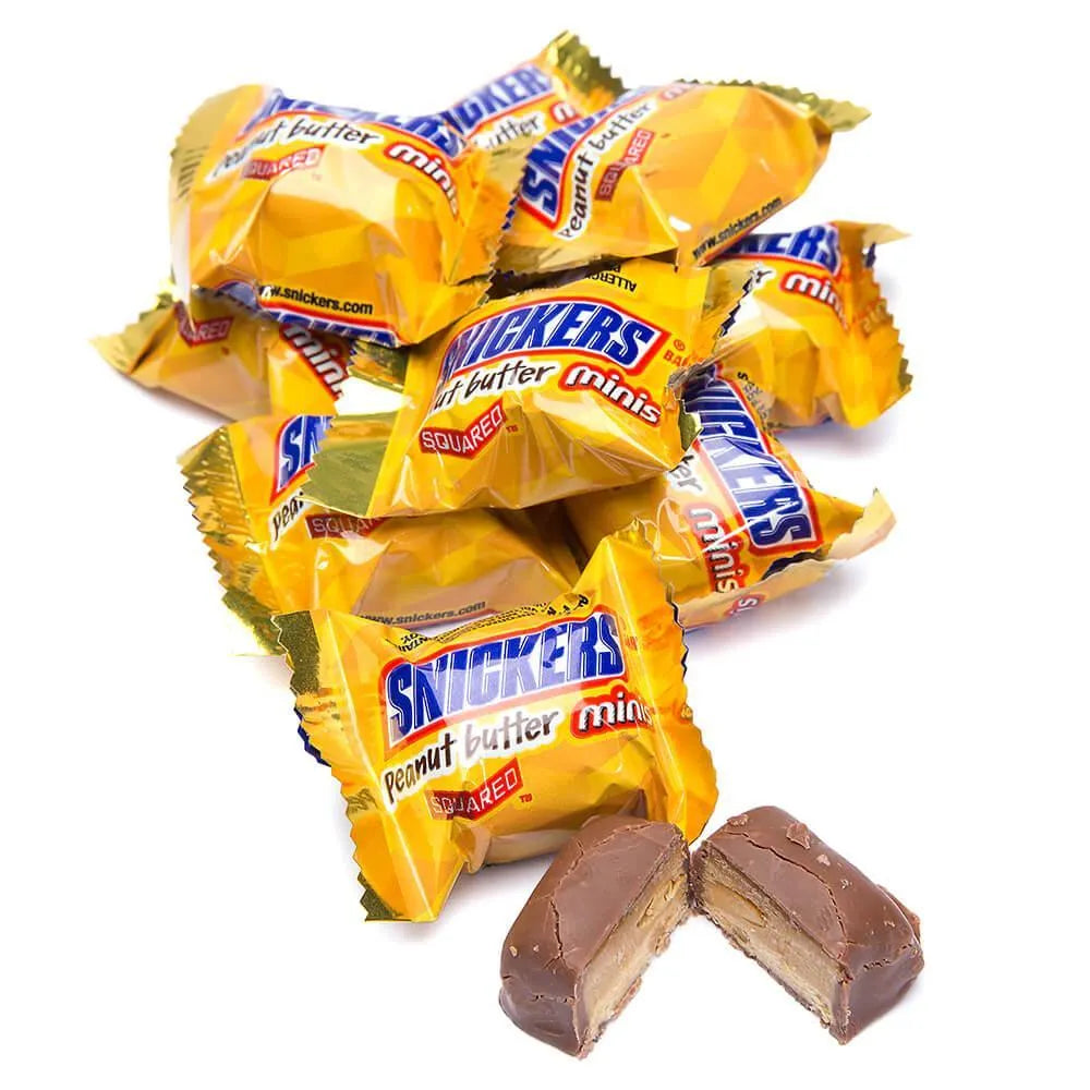 Snickers Peanut Butter Squared Minis Candy: 11.5-Ounce Bag – Candy ...