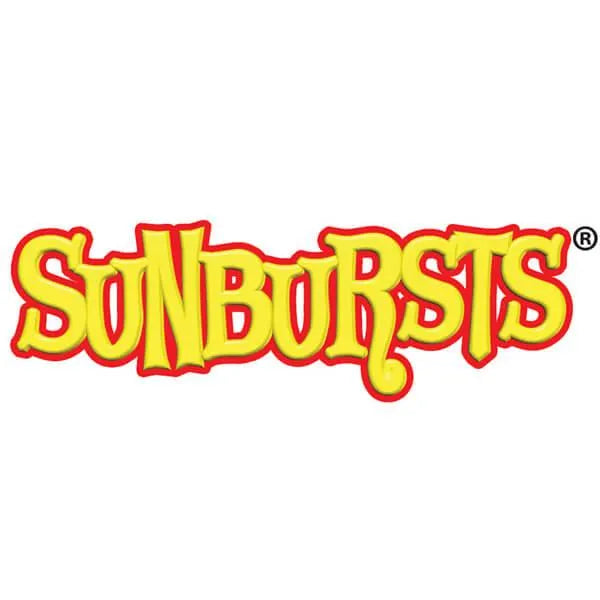 Sunbursts Chocolate Sunflower Seeds Fun Size Candy Packs: 24-Piece Bag ...