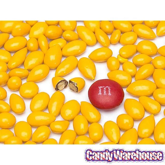Sunbursts Chocolate Sunflower Seeds - Yellow: 1LB Bag | Candy Warehouse