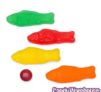 Ocean | Candy Warehouse