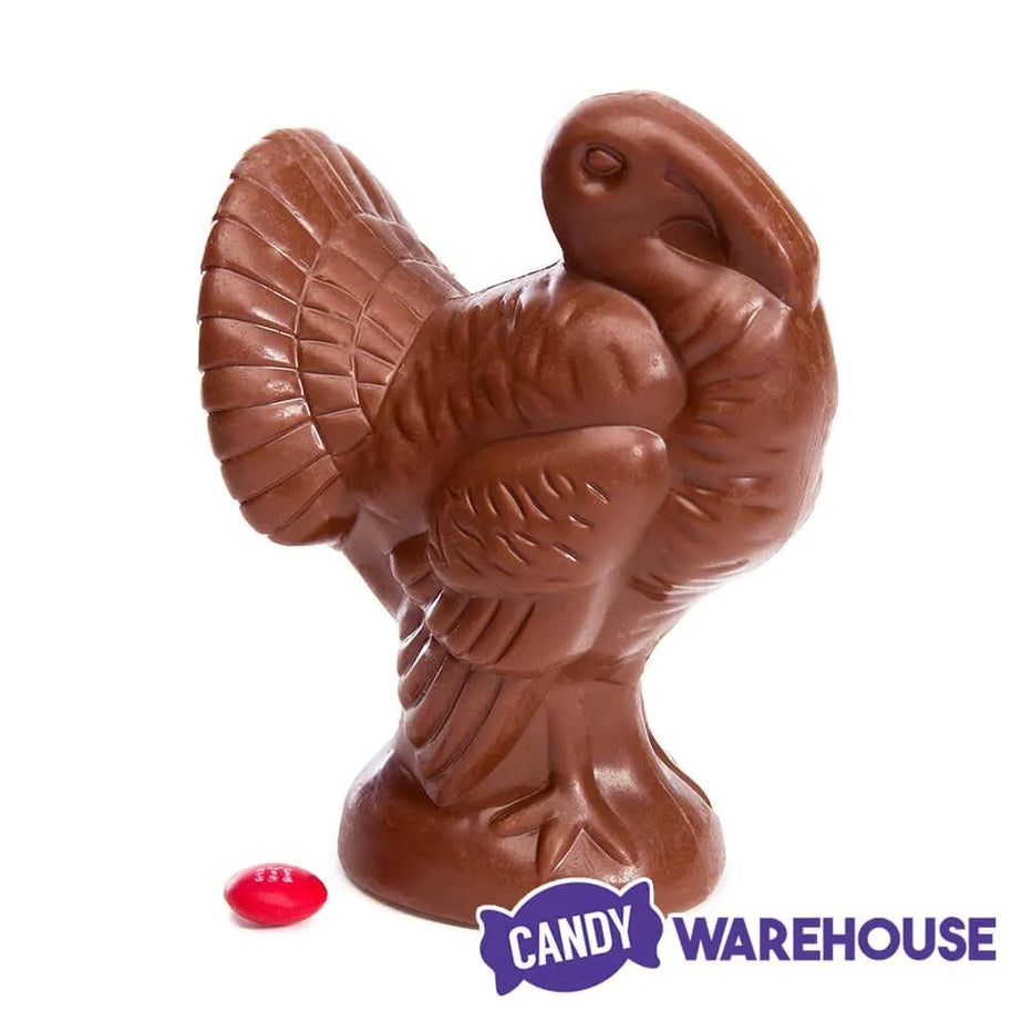 Thompson Foiled Turkey 3.5-Ounce Milk Chocolates: 15-Piece Display ...