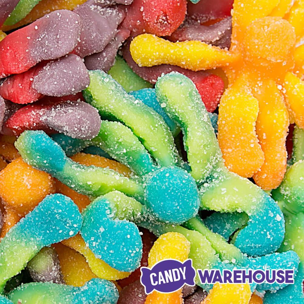Trolli Sour Brite Gummy Octopus Candy: 35-Piece Jar | Candy Warehouse