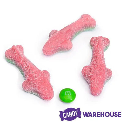 Trolli Sour Watermelon Gummy Sharks Candy: 3LB Box – Candy Warehouse